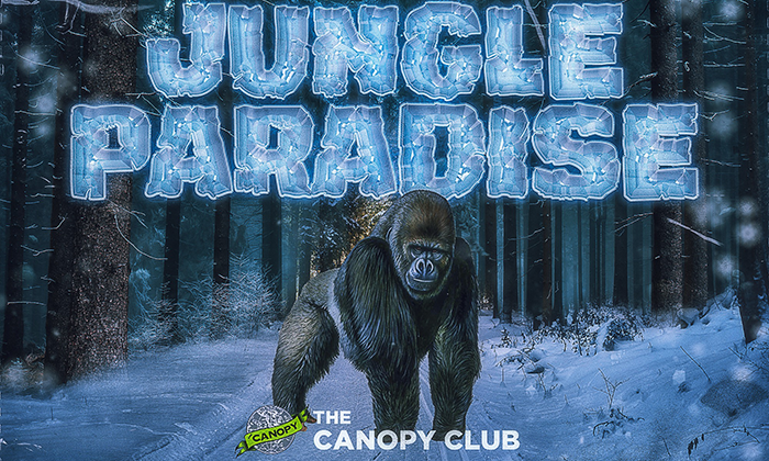 The Official Welcome Back to School Party at Canopy Club - Friday, Aug ...