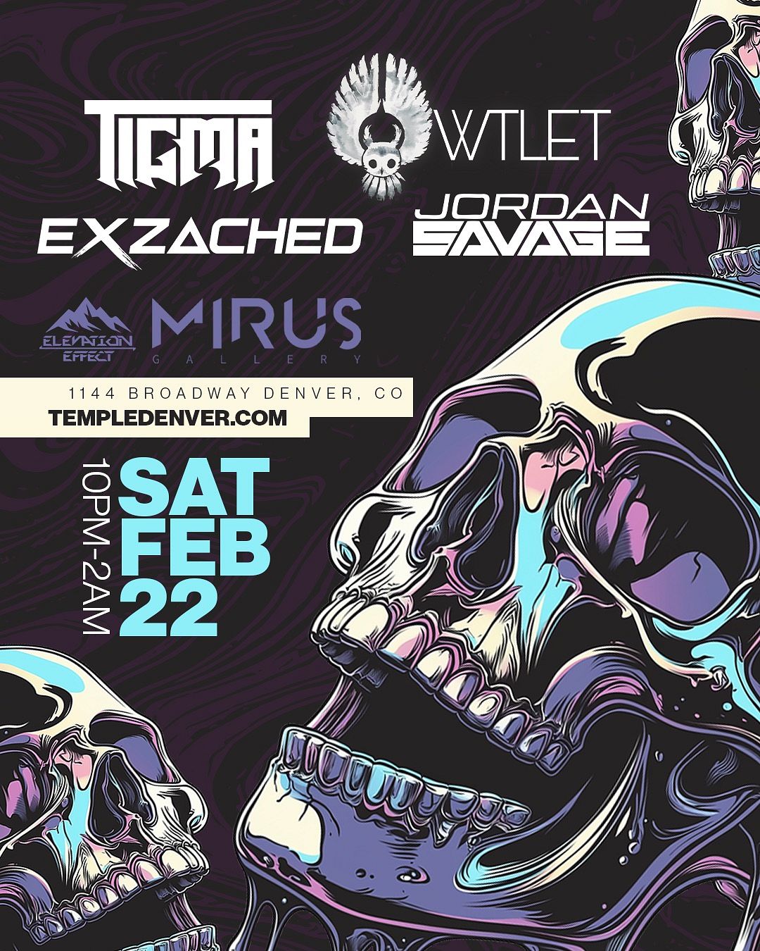 Elevation Effect in Mirus Art Gallery at Temple - Saturday, Feb 22 2025 ...