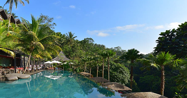 How Jungle Fish Bali Tickets & Promo Codes Works: FAQ & Tips - Discotech