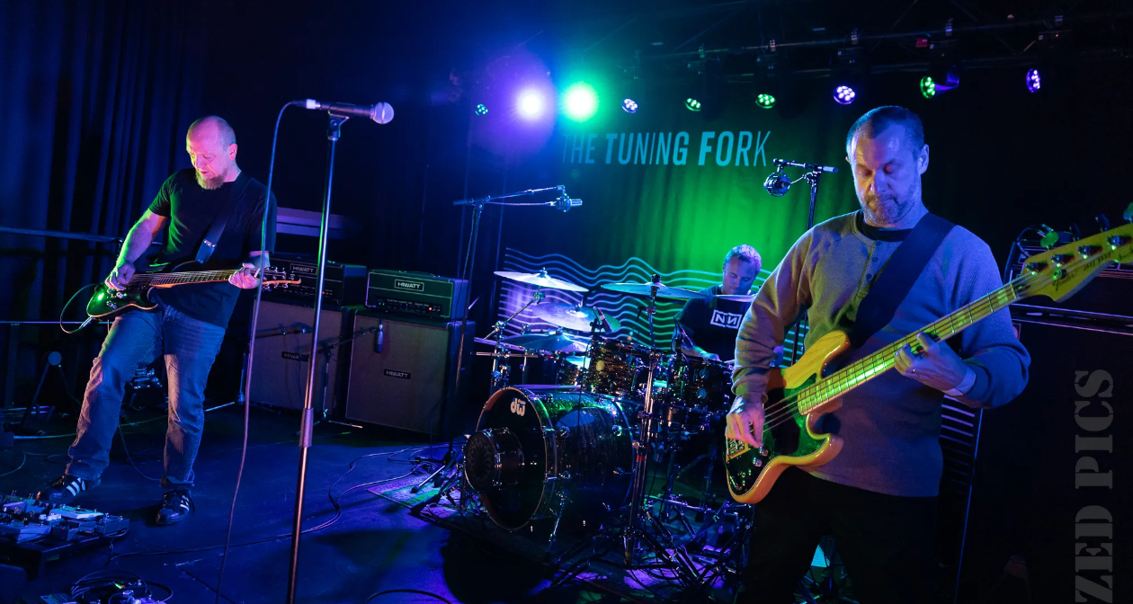 How The Tuning Fork Auckland FREE Guest List Works: FAQ & Tips - Discotech